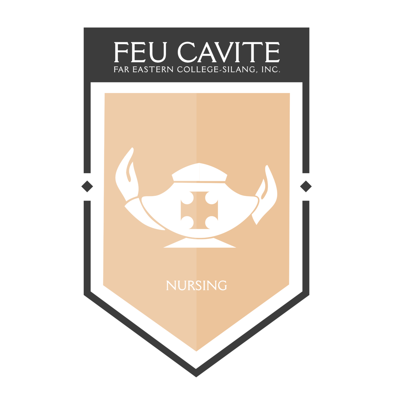 HIGHER EDUCATION | BS Nursing - FEU CAVITE